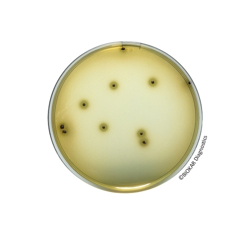 Bismuth Sulfite Agar (ISO 6579-1)